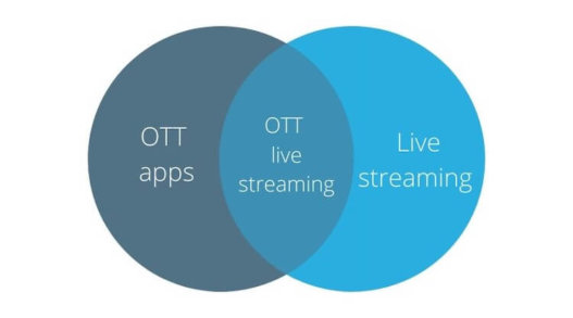 How To Create a Live Streaming Website in 2022