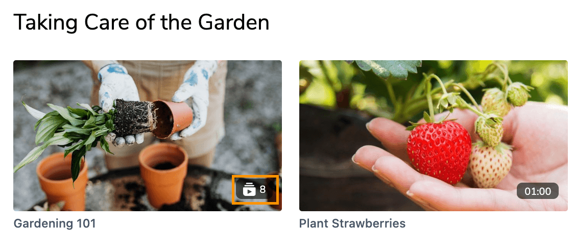 How to Grow and Scale Your Online Course for Maximum Growth
