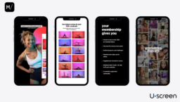 What is SVOD? A Guide on Video On Demand Business Models 🧠