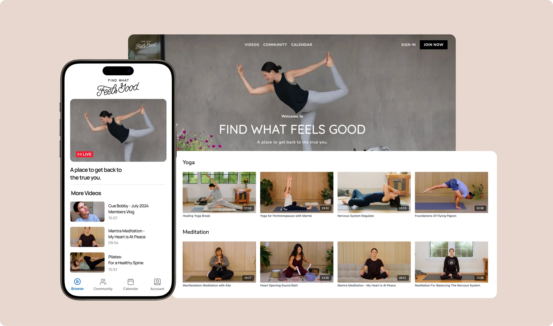 Start a Video Membership Business Your Audience Will Love